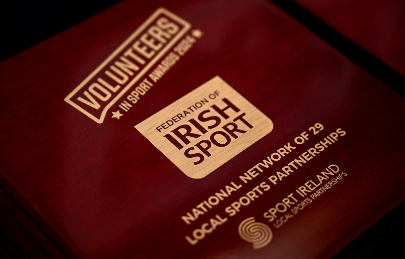 Federation of Irish Sport Reveals 2025 Volunteers in Sport Honourees ...